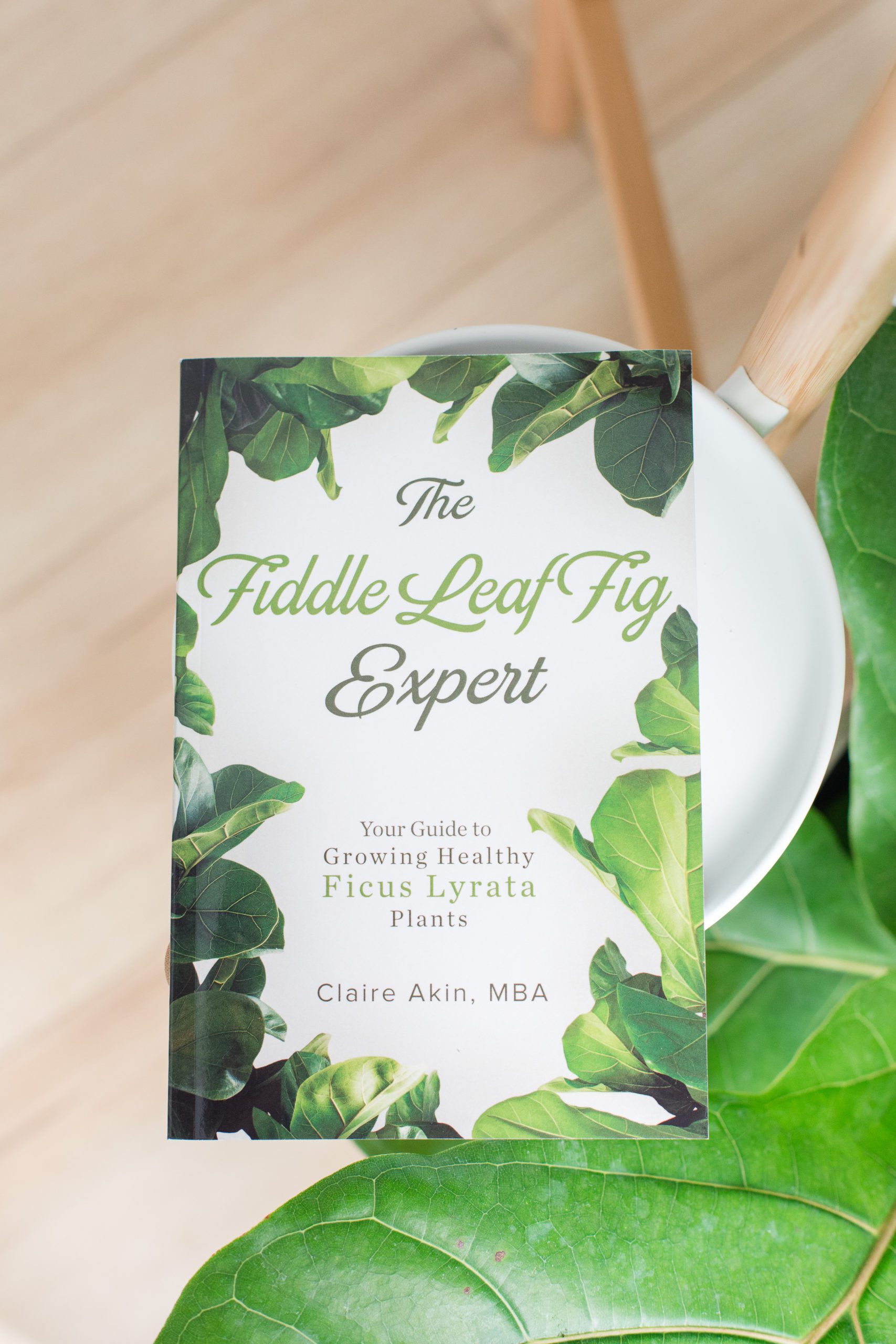 The Fiddle Leaf Fig Expert: Review by Invincible Happy Houseplants