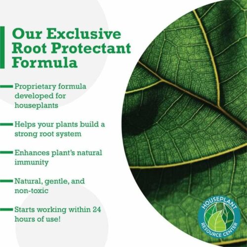 Root Supplement | The Fiddle Leaf Fig Plant Resource