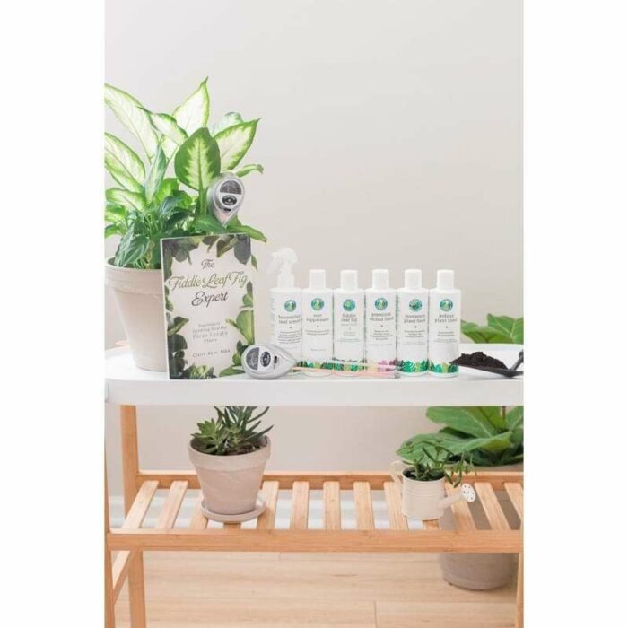 Houseplant Leaf Armor | The Fiddle Leaf Fig Plant Resource