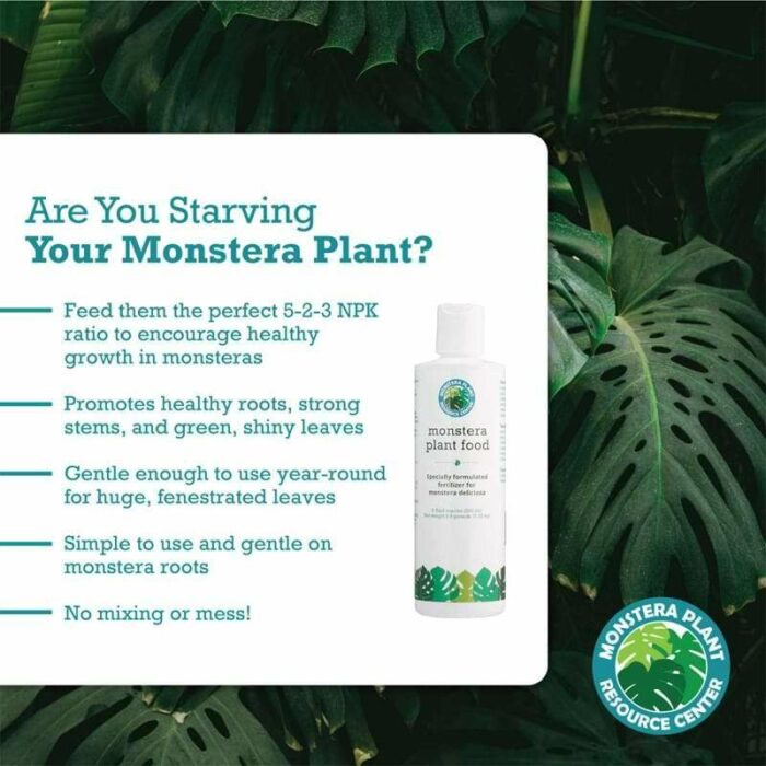 Monstera Plant Food | The Fiddle Leaf Fig Plant Resource
